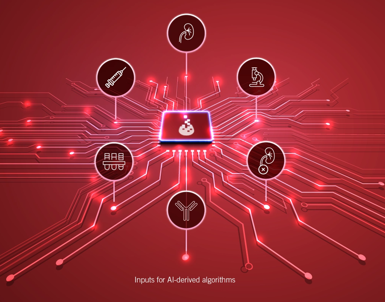 dd-cfDNA Test for Detection of Kidney Transplant Injury | AlloSure ...